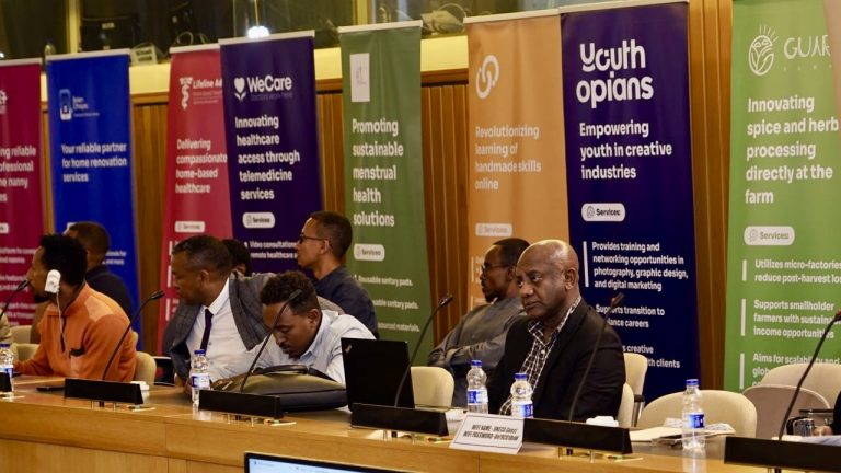 Ethiopia's Gig Economy Takes Center Stage at Africa Celebrates 2024 ...