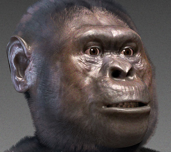 Early Homo and Australopithecus Co-Existed in Ethiopia before 2.5 ...